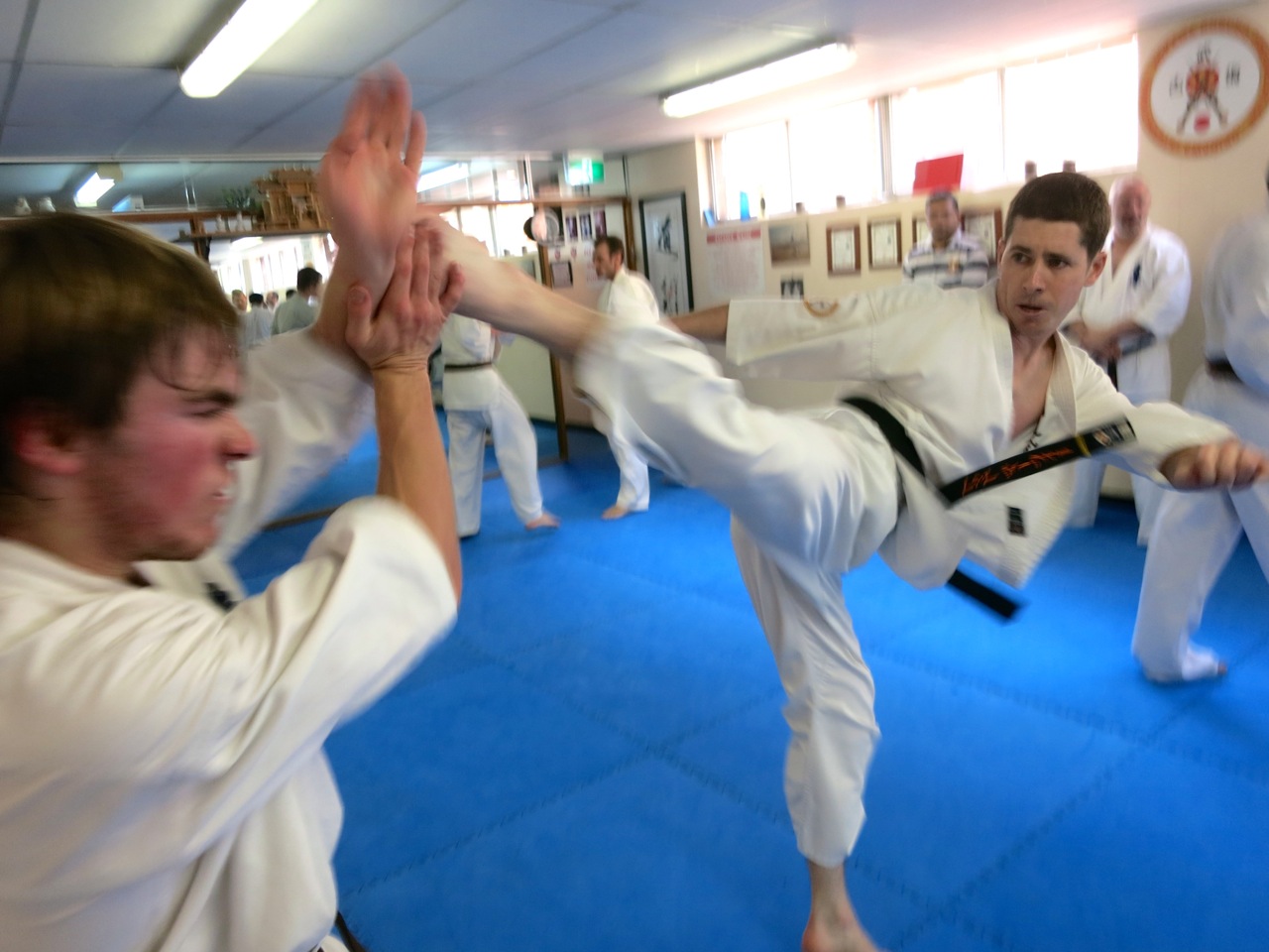 About Kyokushin Karate – Kyokushin International Martial Arts Australia