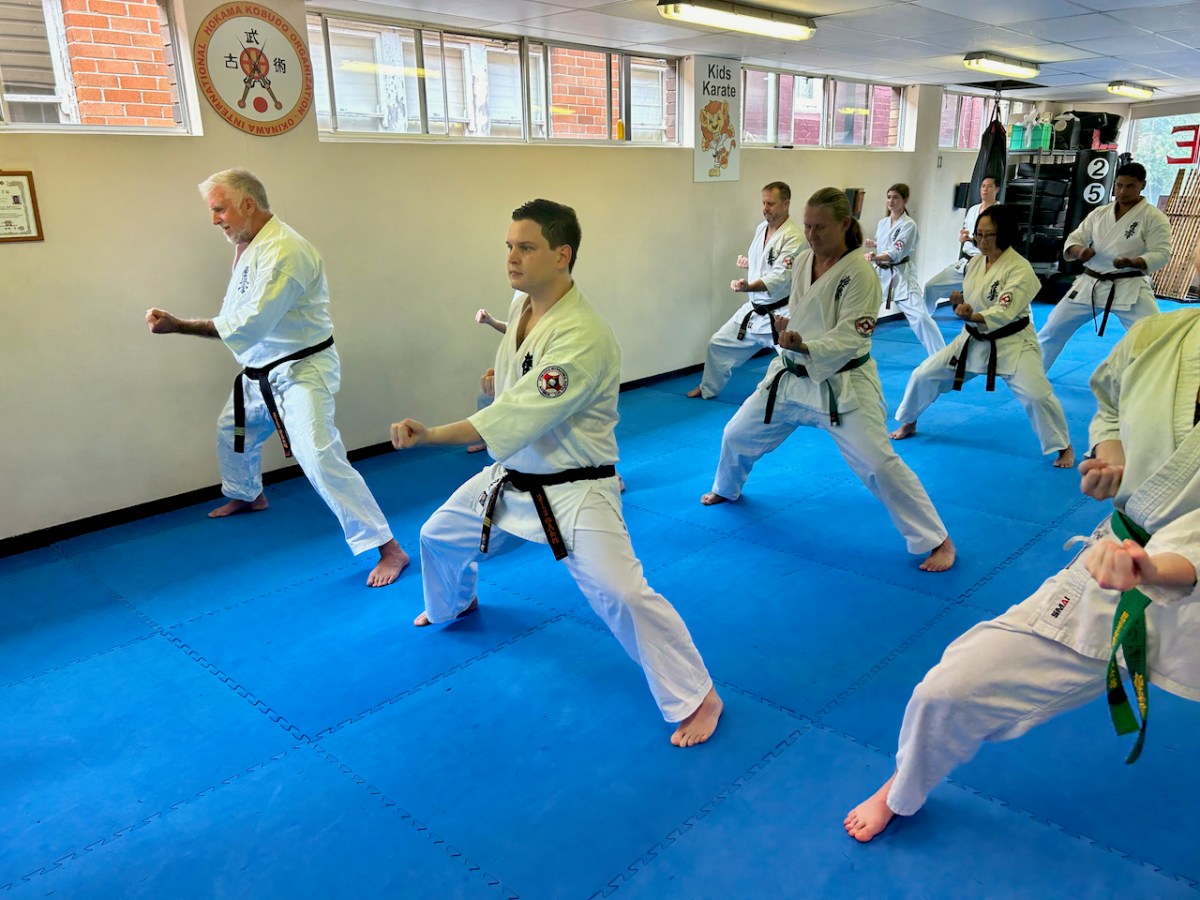 Senior Grading – March 16, 2024 – Kyokushin International Martial Arts ...