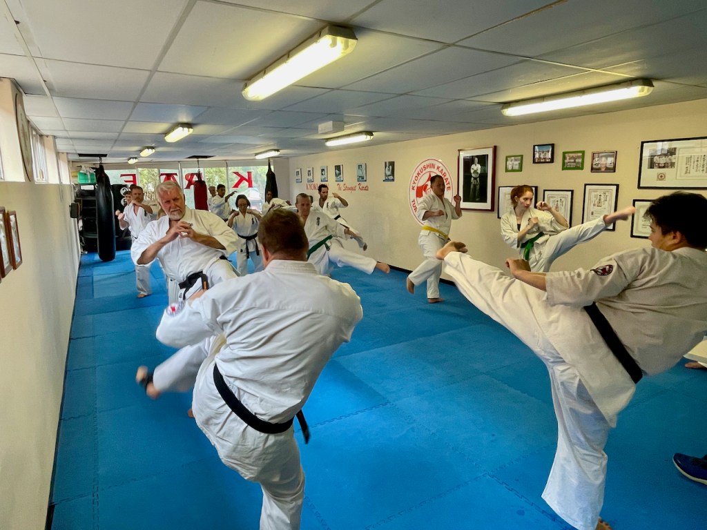 Senior Grading – March 16, 2024 – Kyokushin International Martial Arts ...